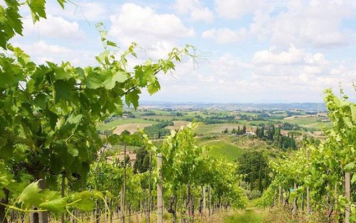 CASALE FALCHINI | San Gimignano, SI | Casale Falchini