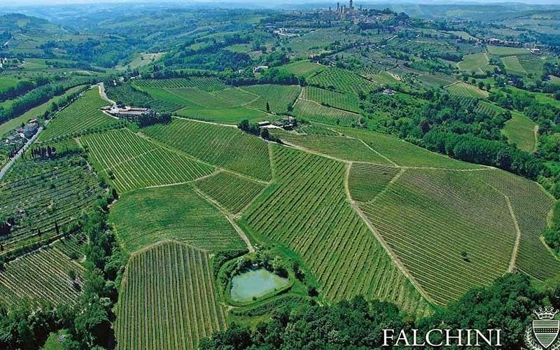 Winery | San Gimignano, SI | Casale Falchini