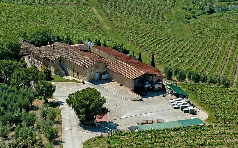 Winery | San Gimignano, SI | Casale Falchini