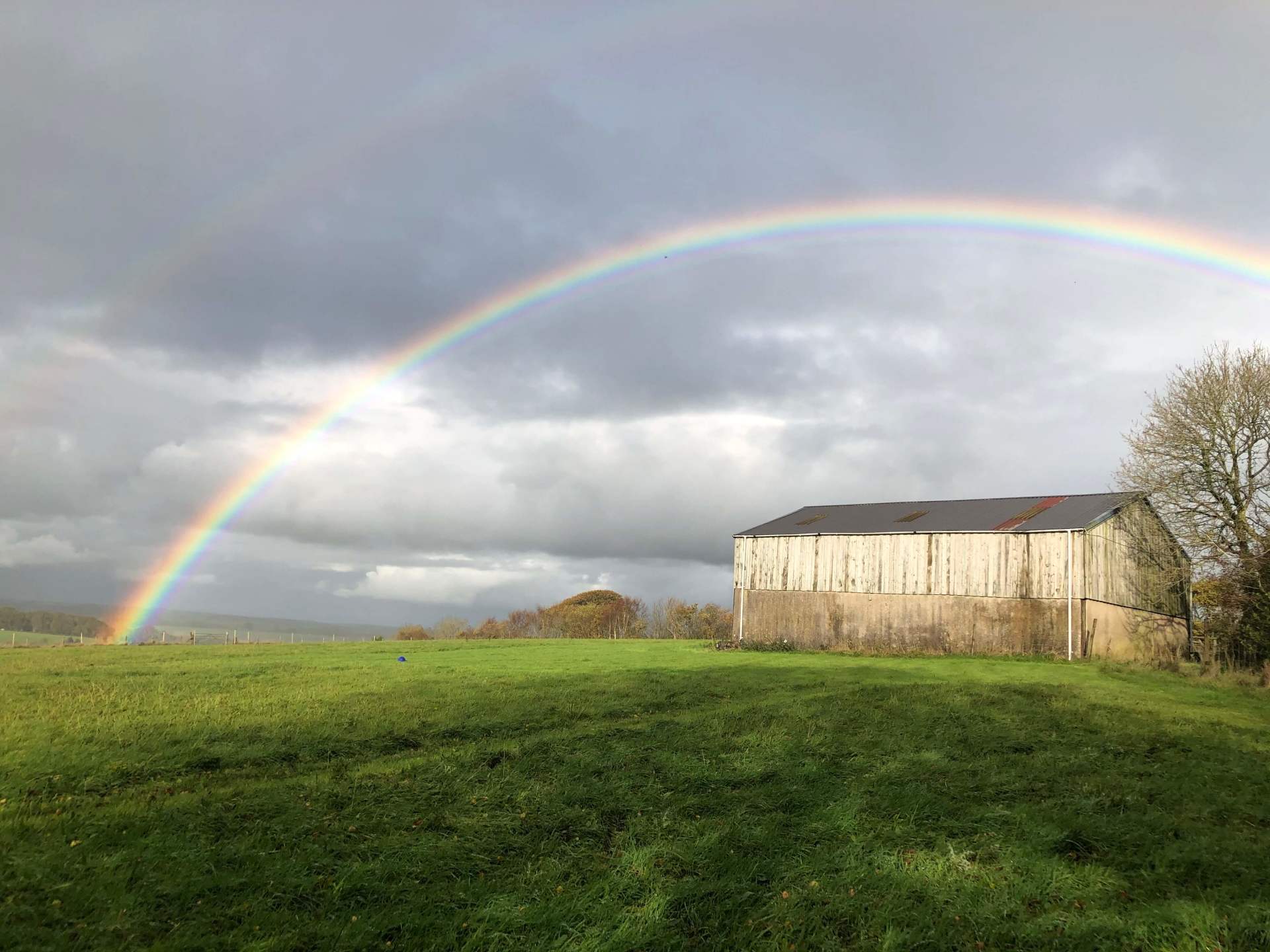Dog-Friendly Facilities – The Belfry | Bark at the Barn