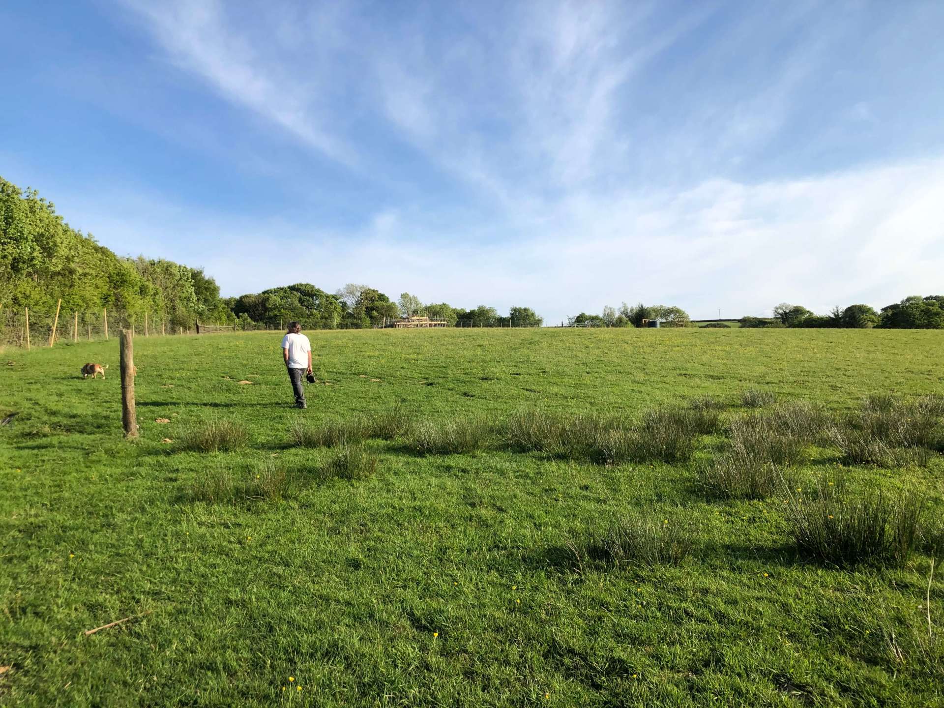 Dog-Friendly Facilities – The Belfry | Bark at the Barn