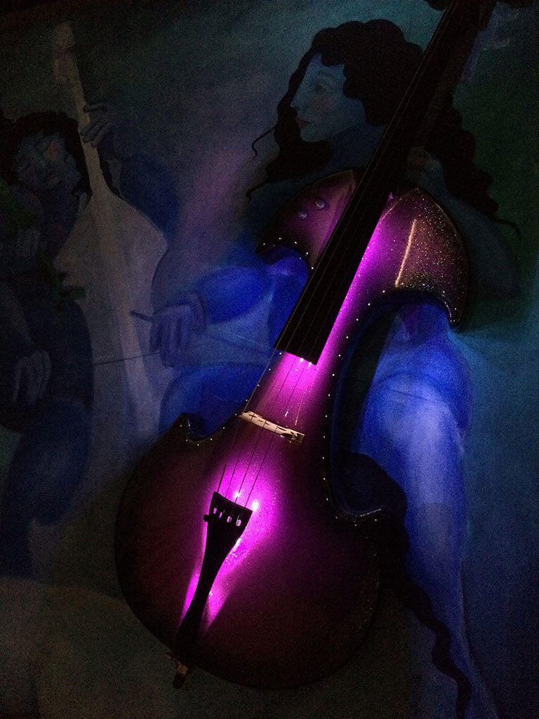 Bridge Violins | Electric & Electro Acoustic Instruments