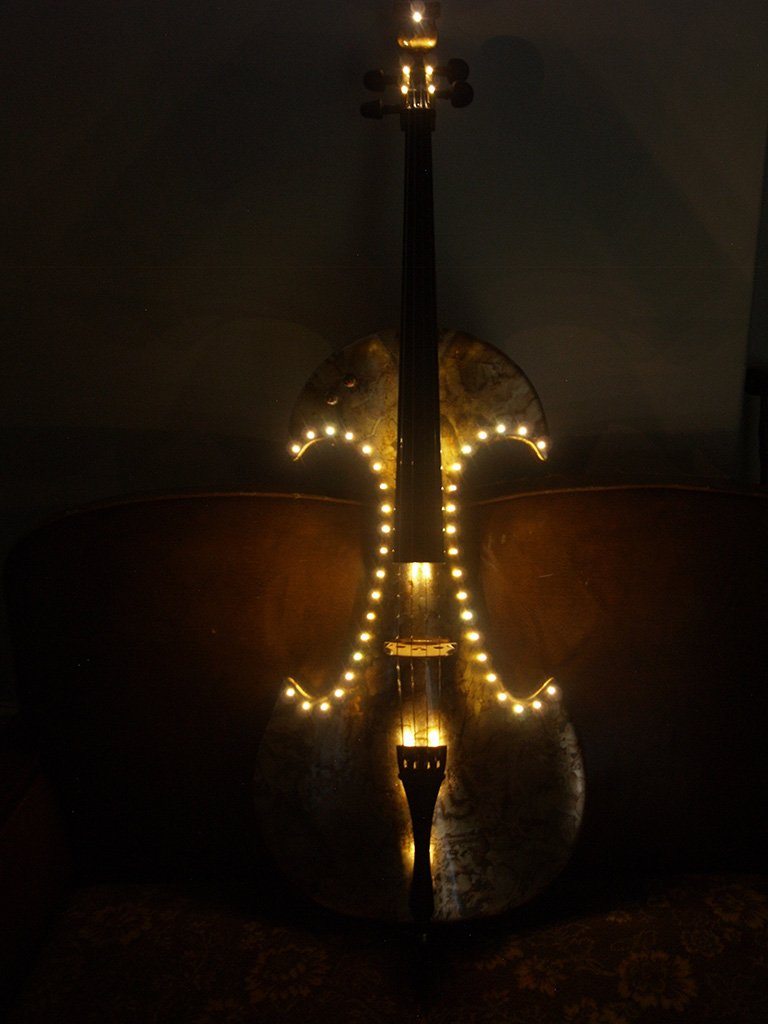 Bridge Violins | Electric & Electro Acoustic Instruments