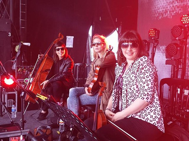 Bridge Violins | Electric & Electro Acoustic Instruments