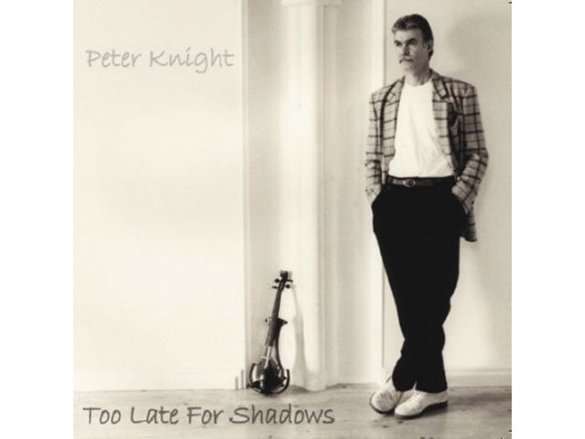 Bridge Violins | Electric & Electro Acoustic Instruments