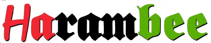 Harambee Kingston NY, Inc. Kingston, NY