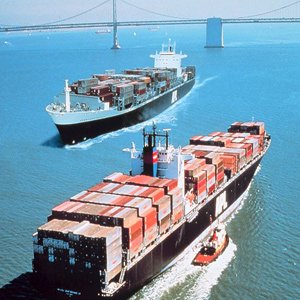 Meat Produce, Transportation, and Trading | Caroline Springs