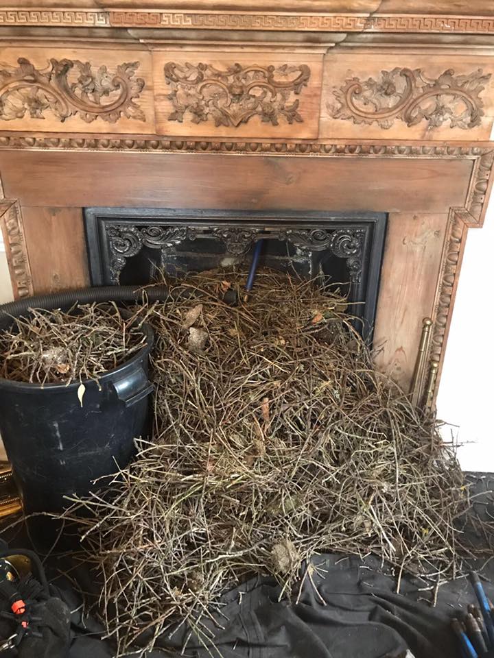 Chimney Cleaning Sussex, Kent & Surrey | Milborrow Chimney Sweeps Chimney Cleaning Sussex, Kent & Surrey | Milborrow Chimney Sweeps