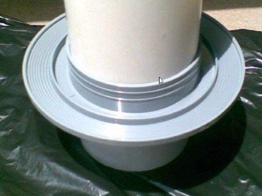 Termite Treatment in Perth | Champion Pest Control Pty Ltd