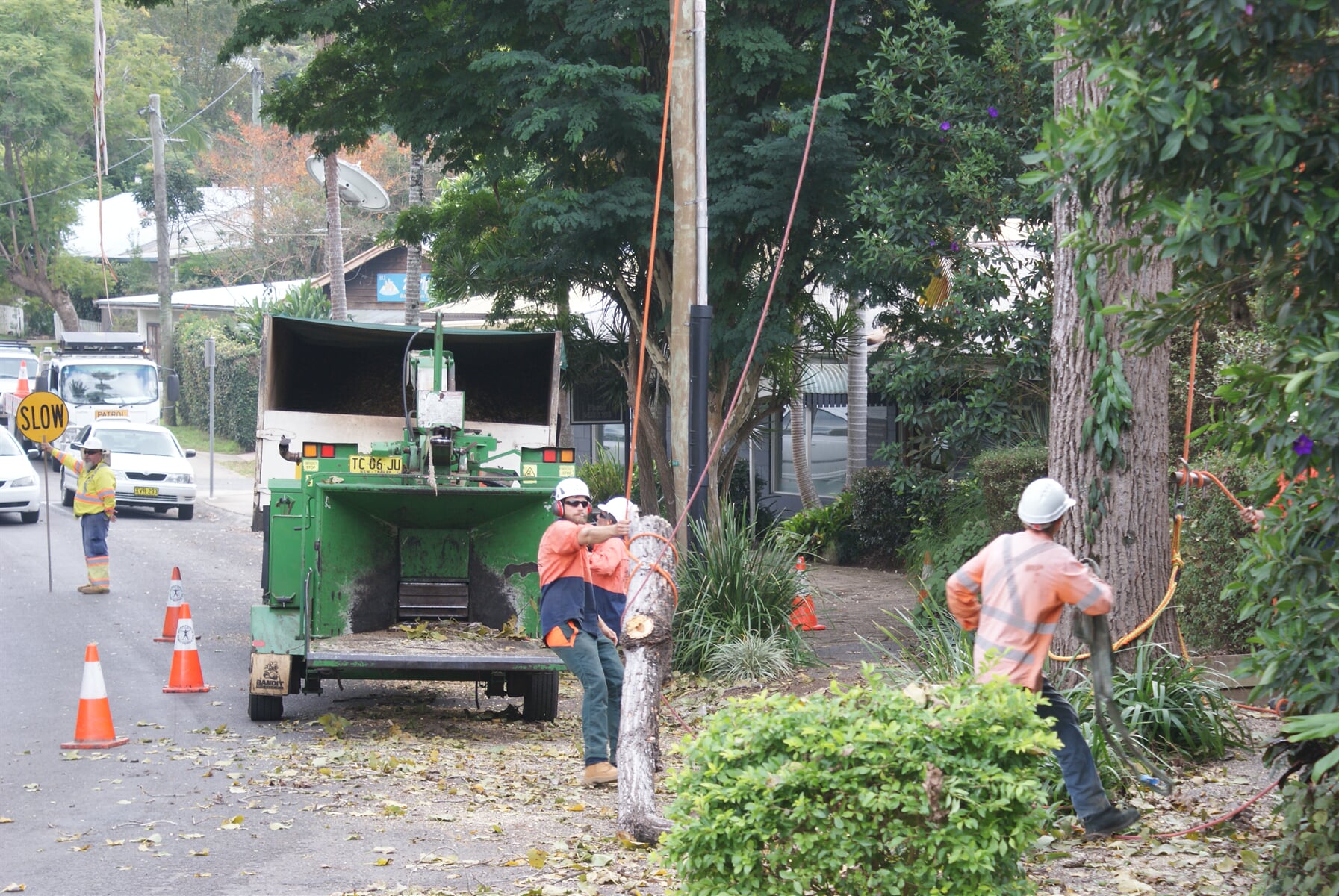 Tree Removal in Bellingen, Coffs Harbour | Valley Tree Services