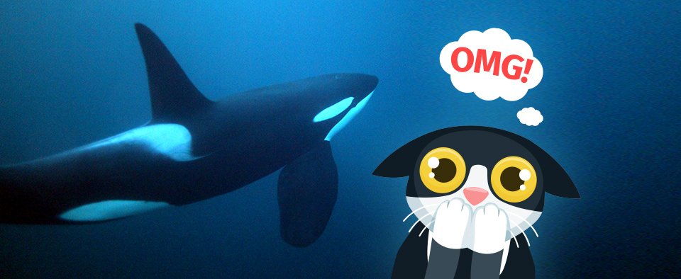 OLD TOM and THE LAW OF THE TONGUE!