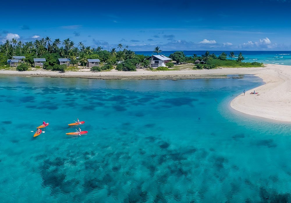 Whale Swim in Tonga | 27th July - 4th August 2026