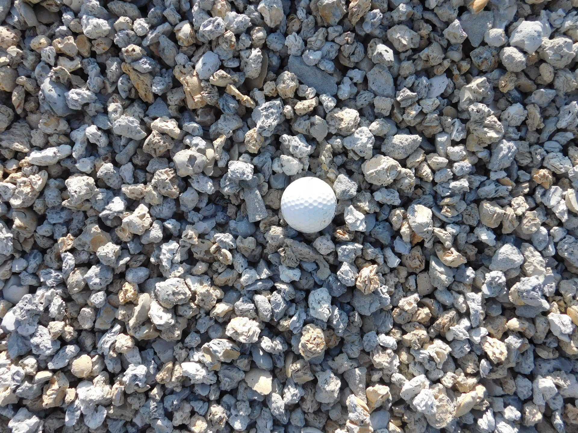 Ebron's Small Engine Repair | Services | New Bern, NC