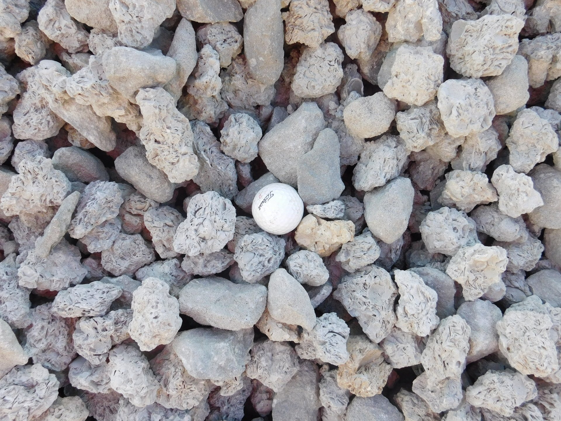 Ebron's Small Engine Repair | Services | New Bern, NC