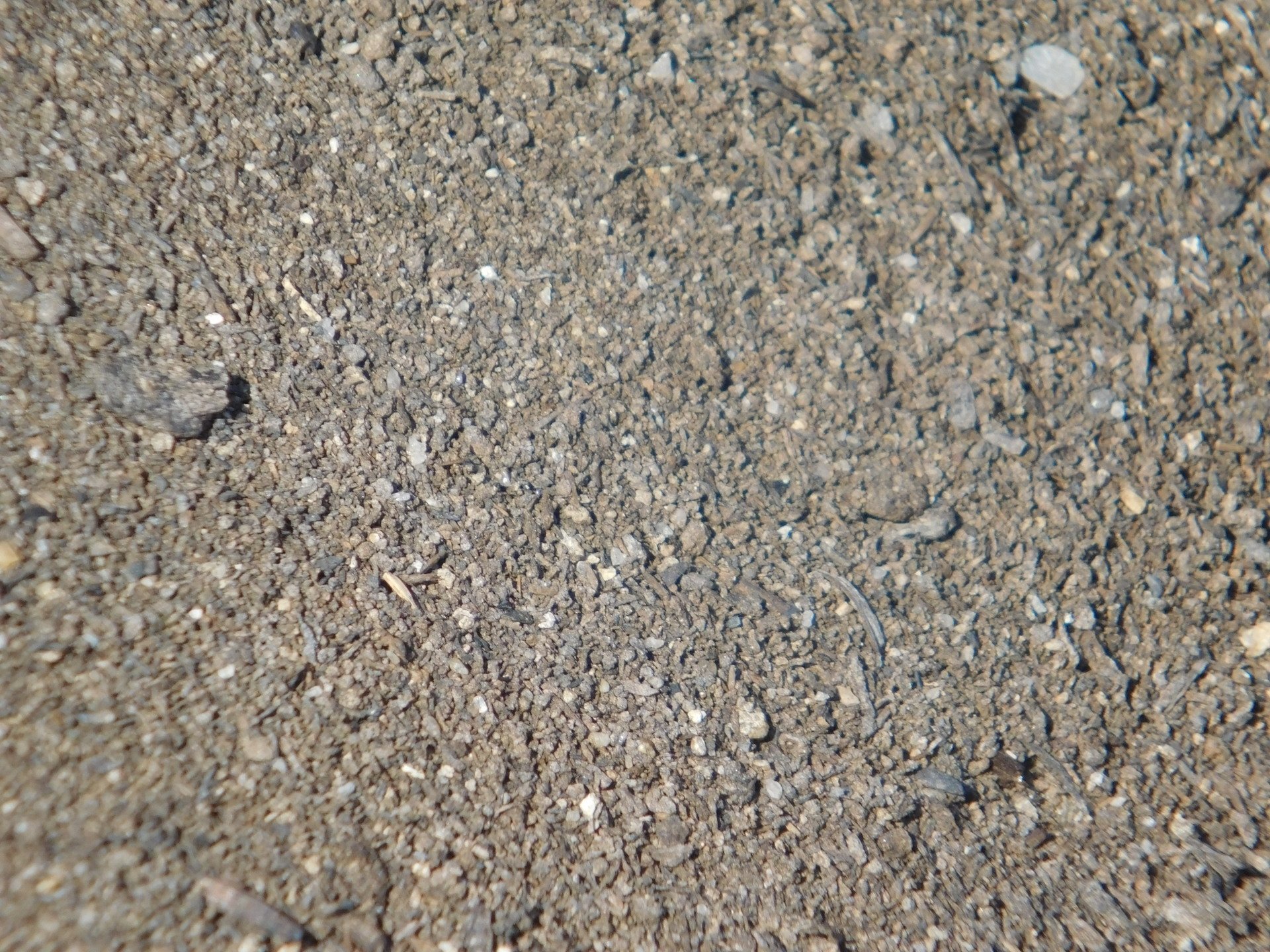 Ebron's Small Engine Repair | Services | New Bern, NC