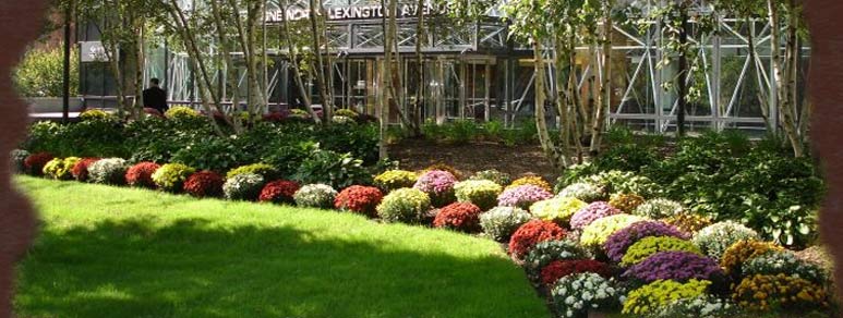 Southern Legacy Landscapes Clientele in the Commercial Landscaping ...