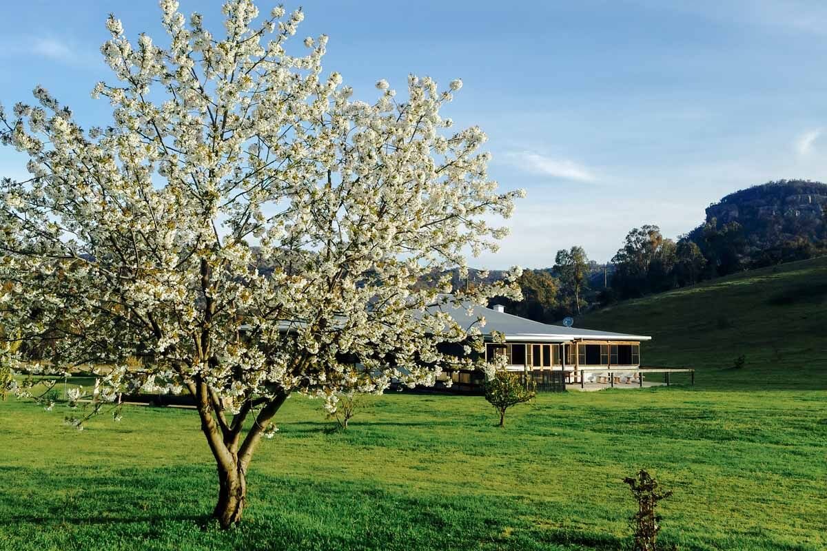 Gallery | Cherry Farm