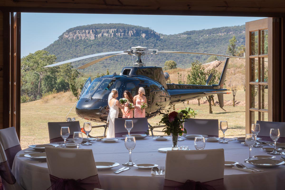 Gallery | Cherry Farm