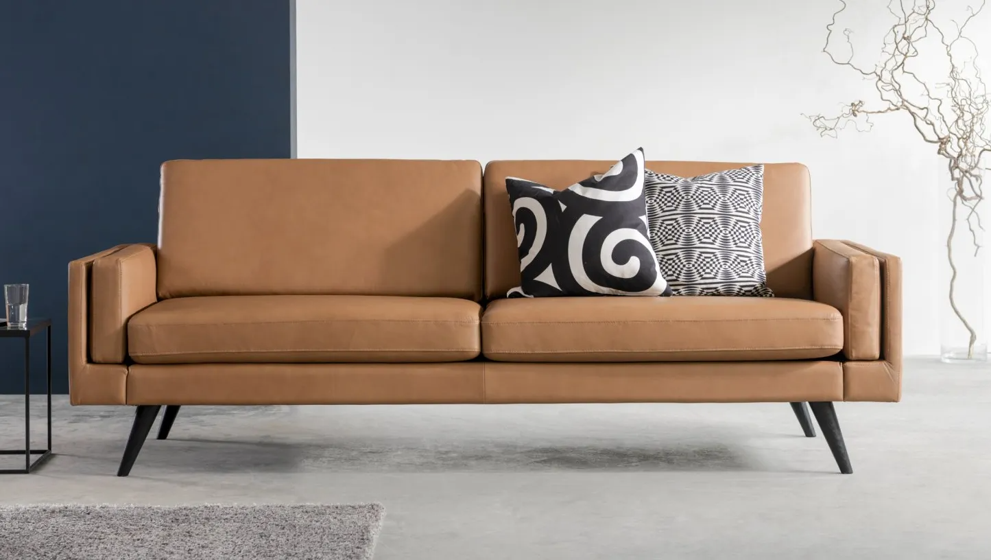 Living Room Sofas, Sleeper Sofas & Reclining Sofas in Berkeley, CA ...