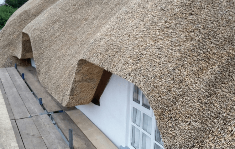 Thatchers | Howard Empson Thatching