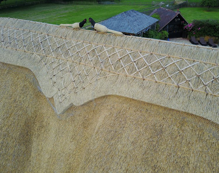 Thatchers | Howard Empson Thatching