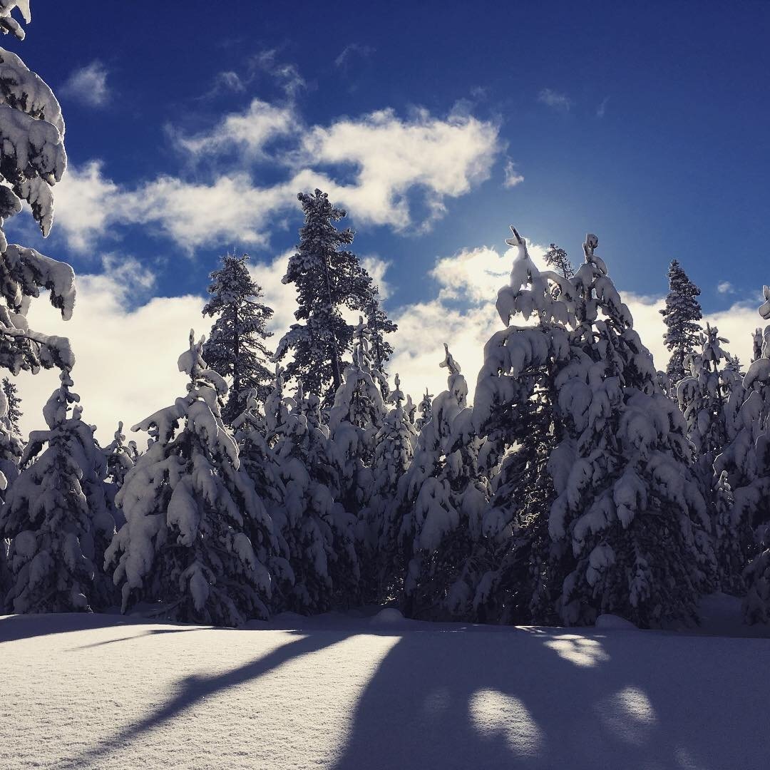 Bend Oregon Tree Service - Fagen Tree Service in Bend Oregon