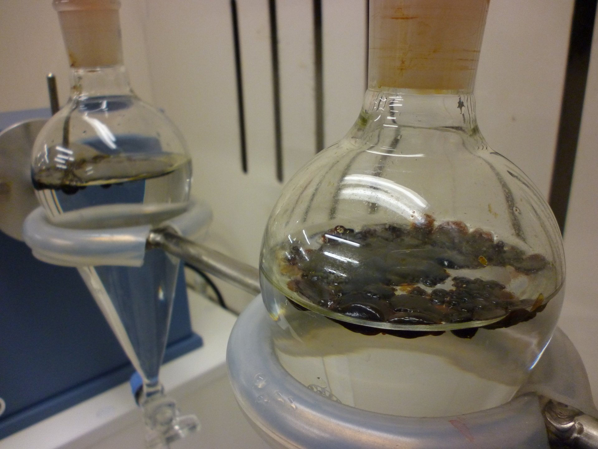 Weathering and Dispesant Testing