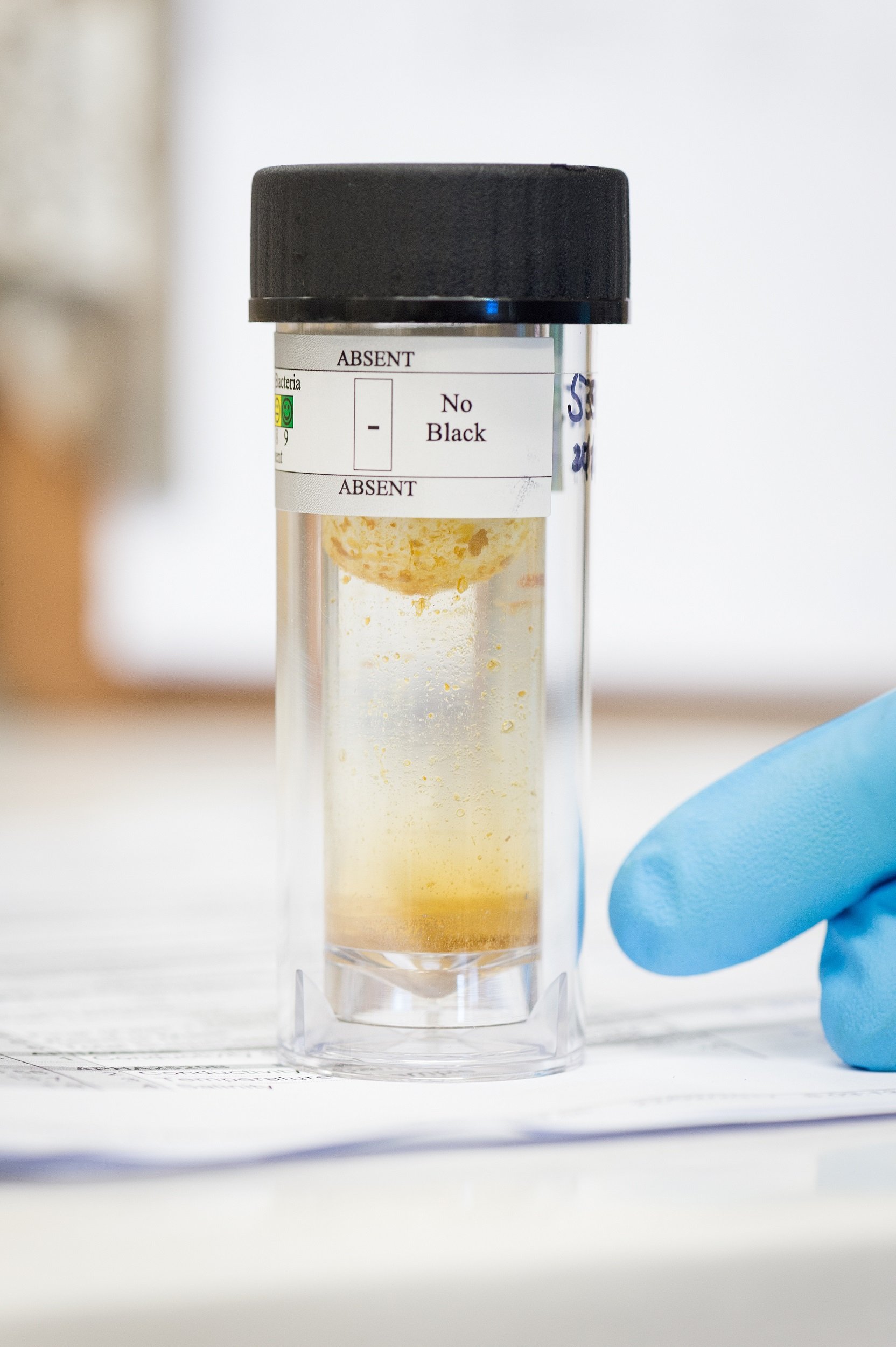 Oil and Gas Testing Services