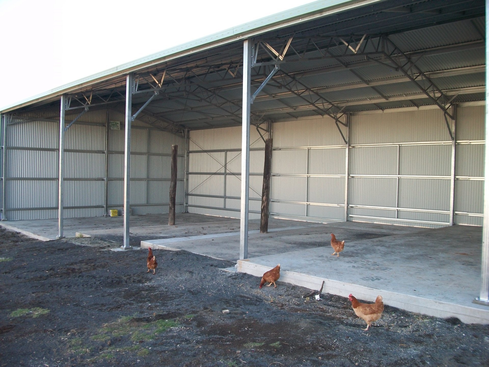 Commercial, Rural and Industrial Shed Gallery | Statewide Sheds