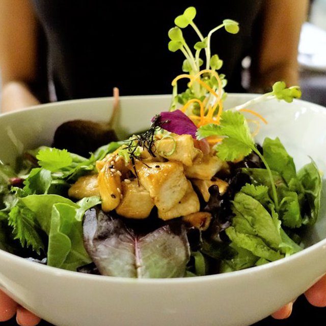 Menu | Kiku Japanese Steak House and Sushi Lounge