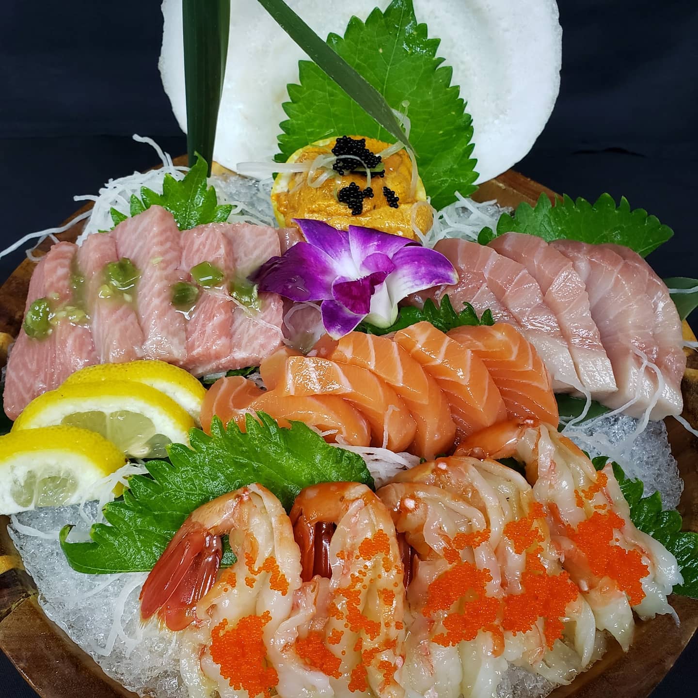 Welcome to Sushi Shima