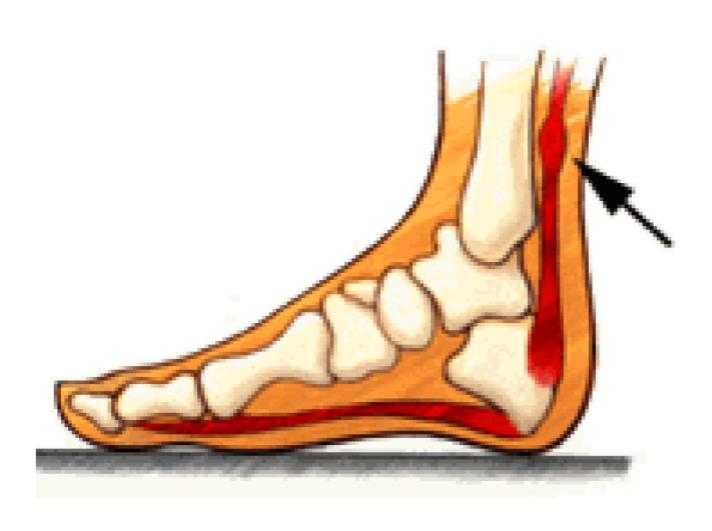 Dr David Samra | Sports Medicine Specialist | Sydney