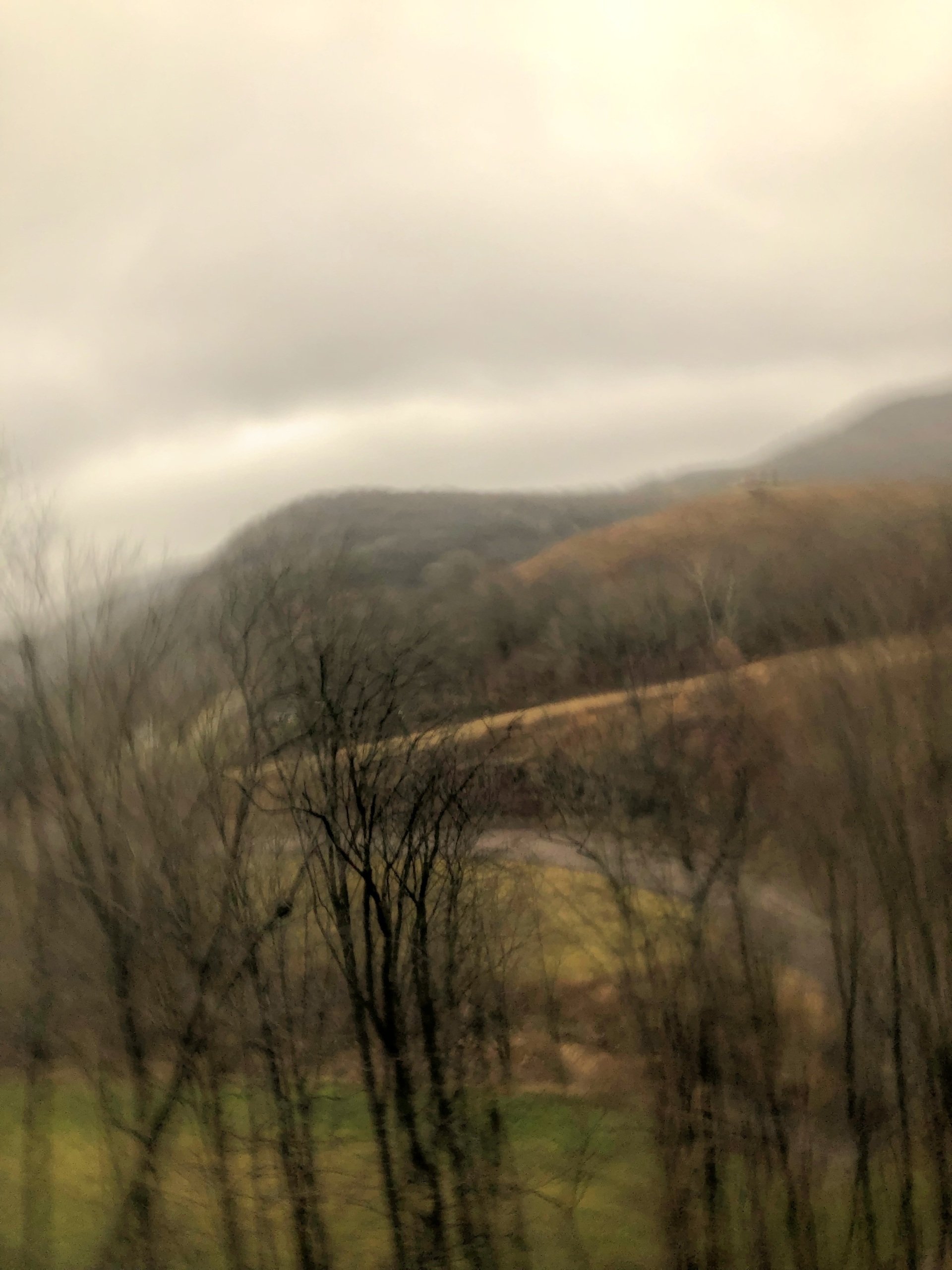 Dena Elisabeth Eber | Archives