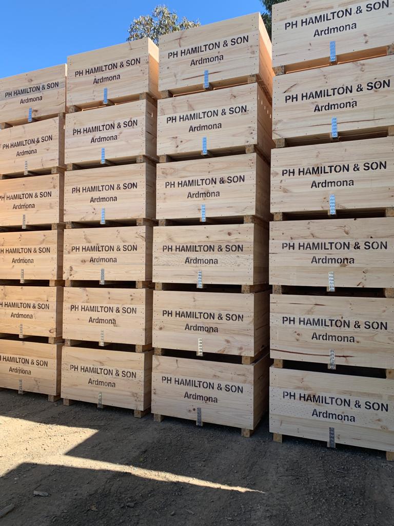 Home [www.palletandbin.com.au]