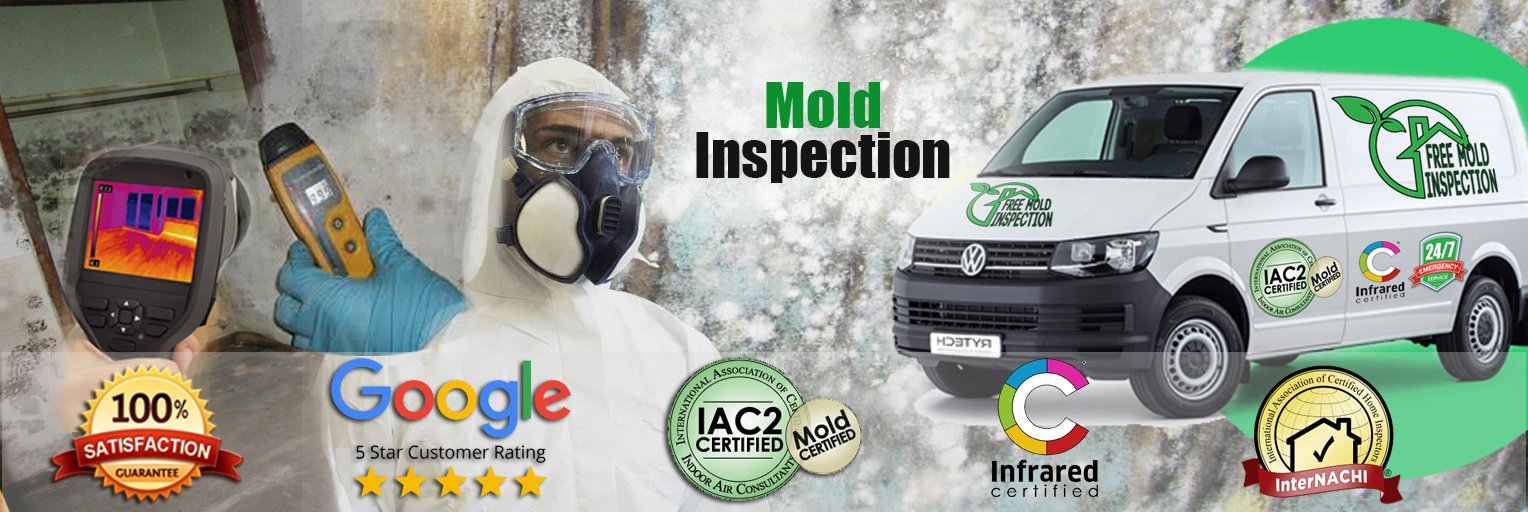Free Mold Inspection | Free Home Mold Inspections