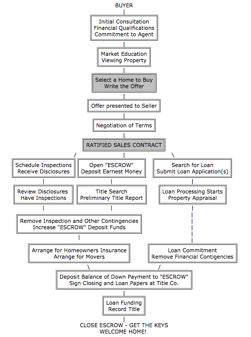 Buyer's Time and Action Flow Chart - Professional Property Management