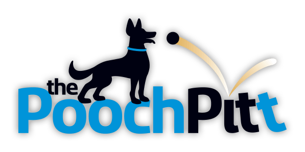 Home - The Pooch Pitt