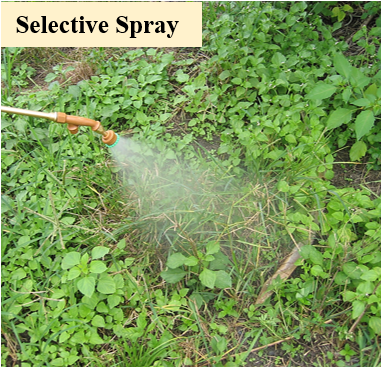 Sprayer Manufacturer in Malaysia | Jun Chong Sdn Bhd