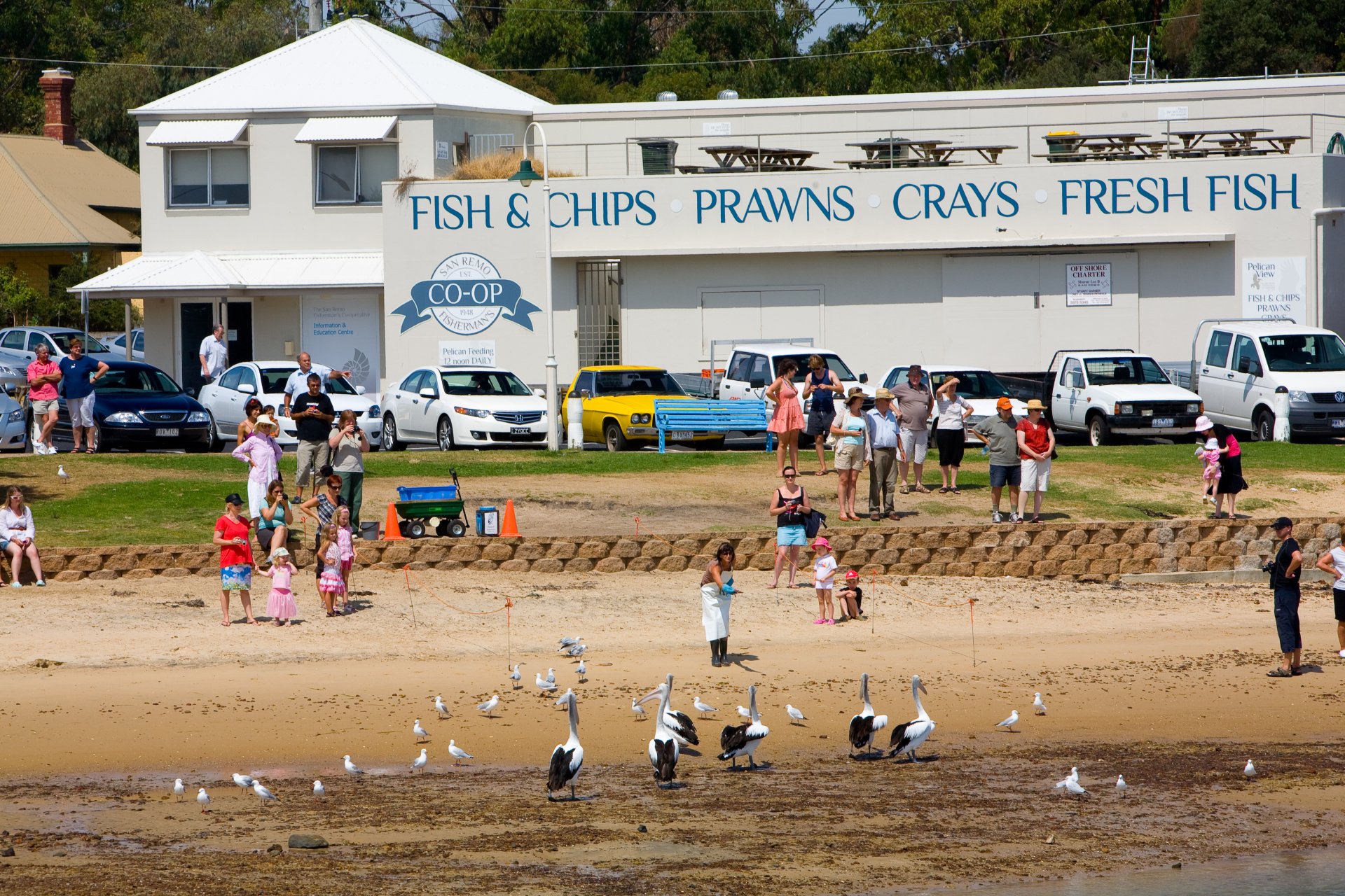 San Remo Fishermans CO Op | DB Design