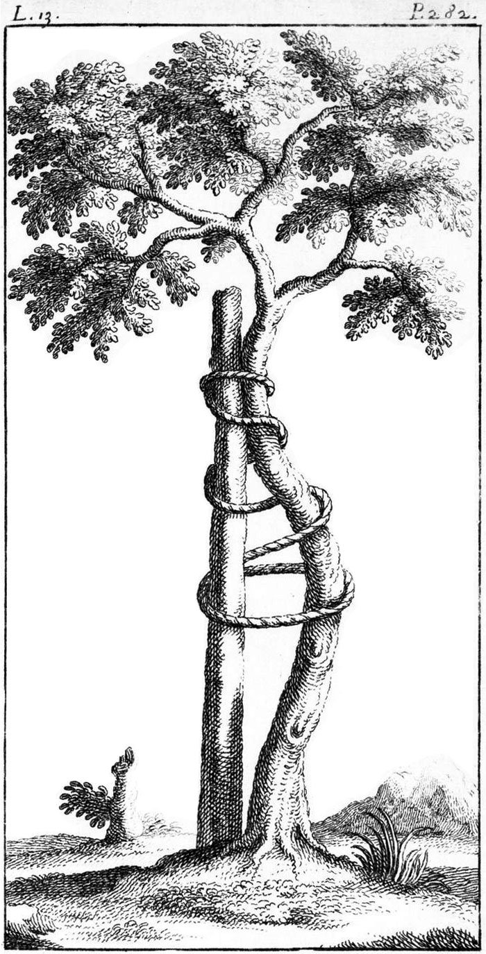 SpineNetwerkNoordHolland