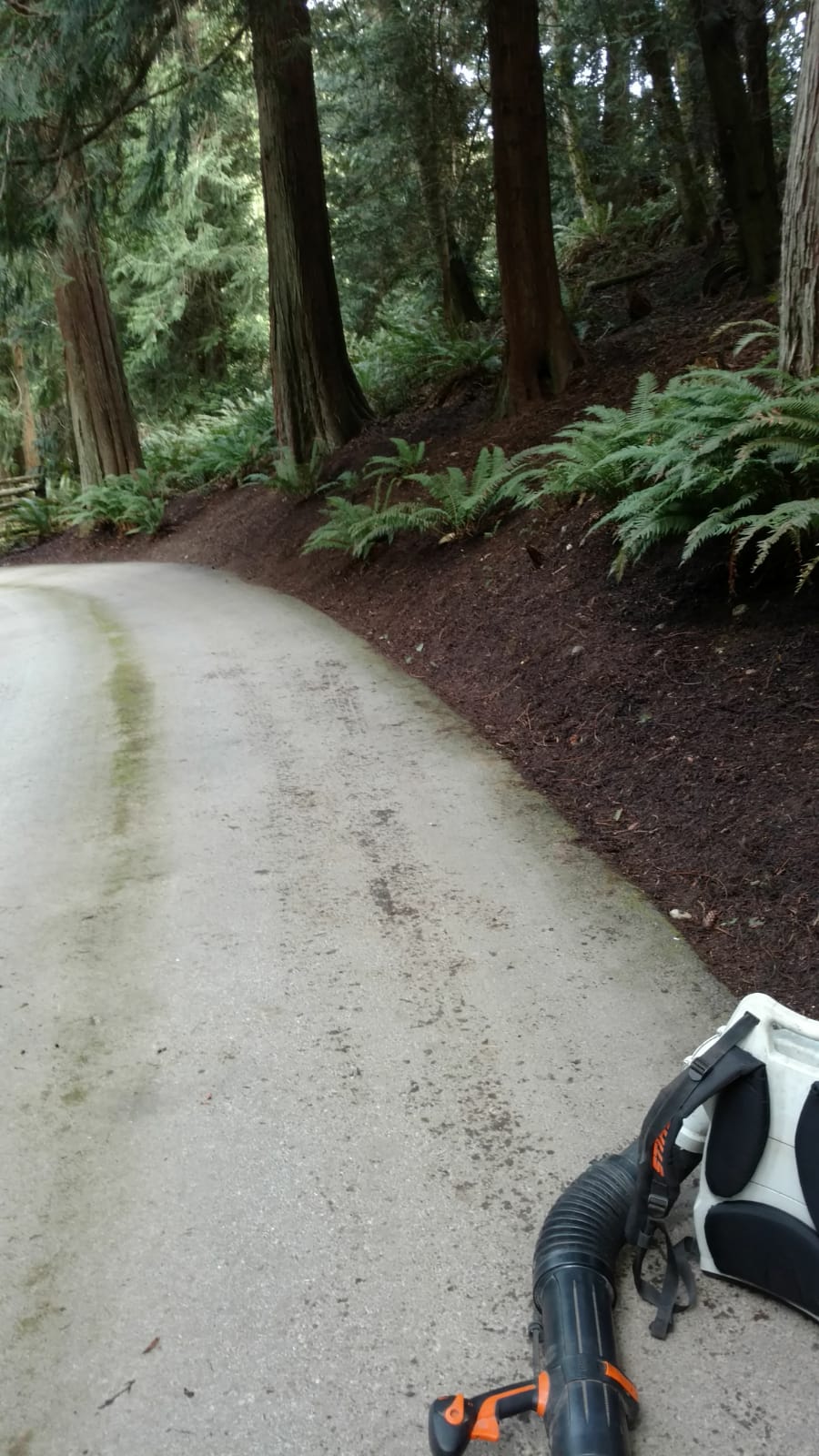 Henry Tree Service Photo Gallery of activities on Whidbey Island, WA