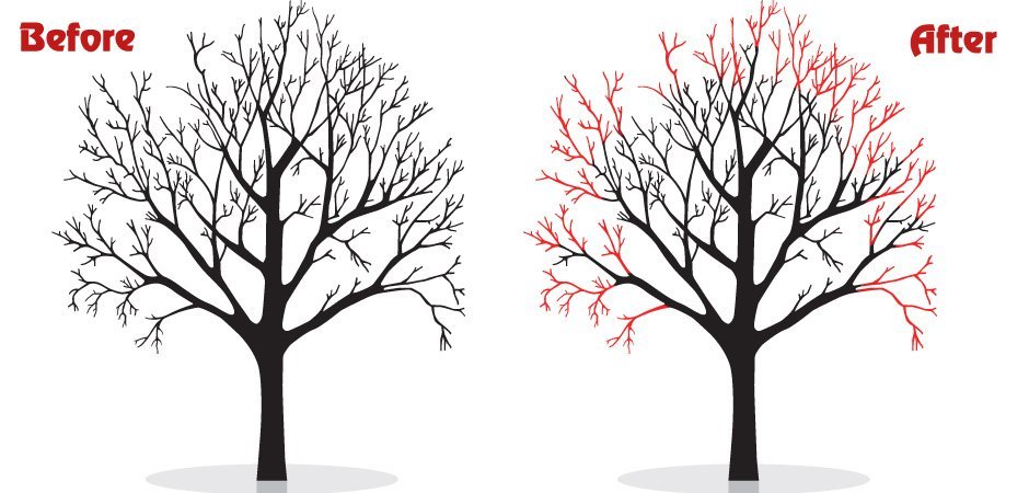 Complete tree services from Luke Collett Tree Surgeons Ltd