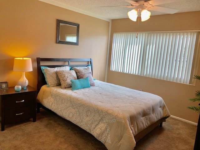 Arbor Park Apartments | Photos