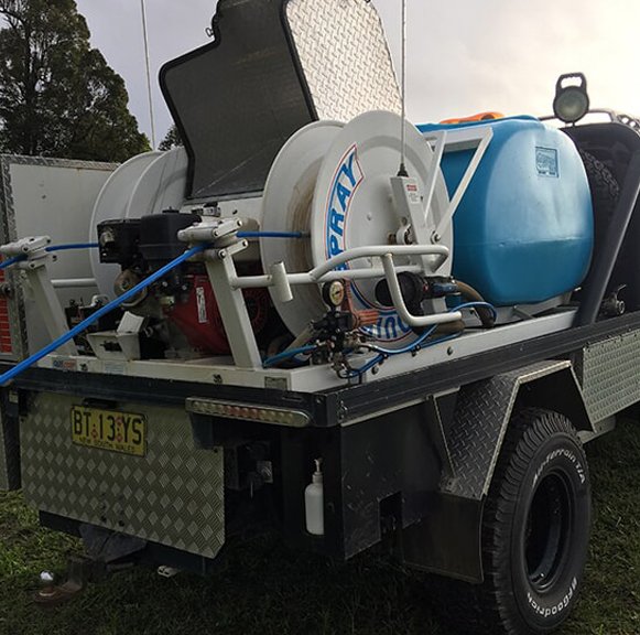 Funnel Ants Control in Nambucca Heads | Terminator Ant & Pest Control