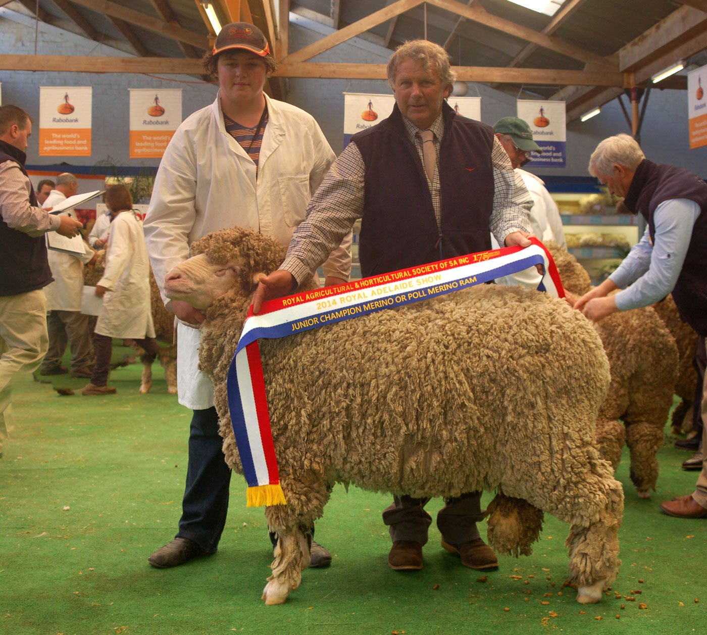 Gallery | Radnor Stud