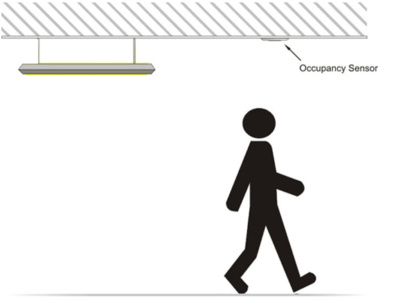 FAQ: Occupancy - difference between presence/absence detection?