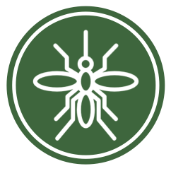 Security Doors and Security Screens in Perth