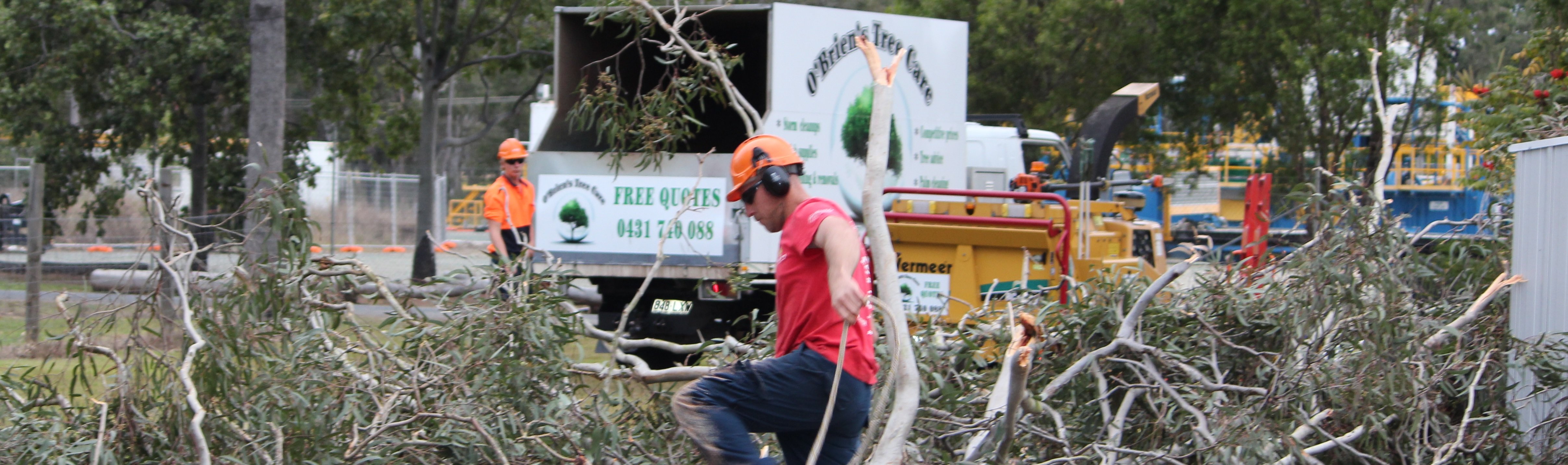 Tree Services | Brisbane Northside | O'Brien's Tree Care