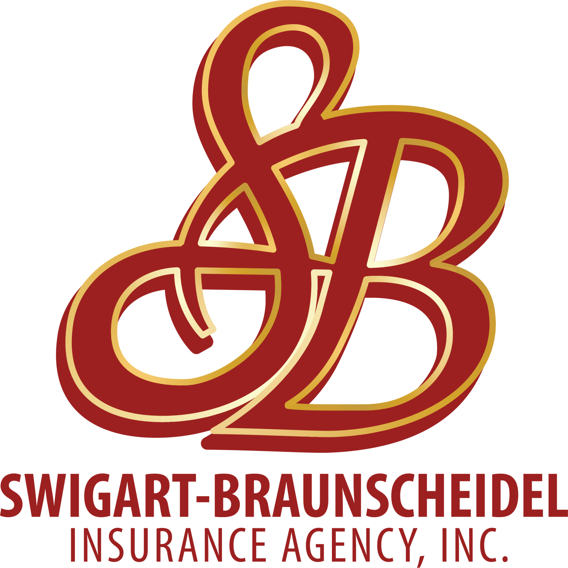 Home [www.swigbraun.com]