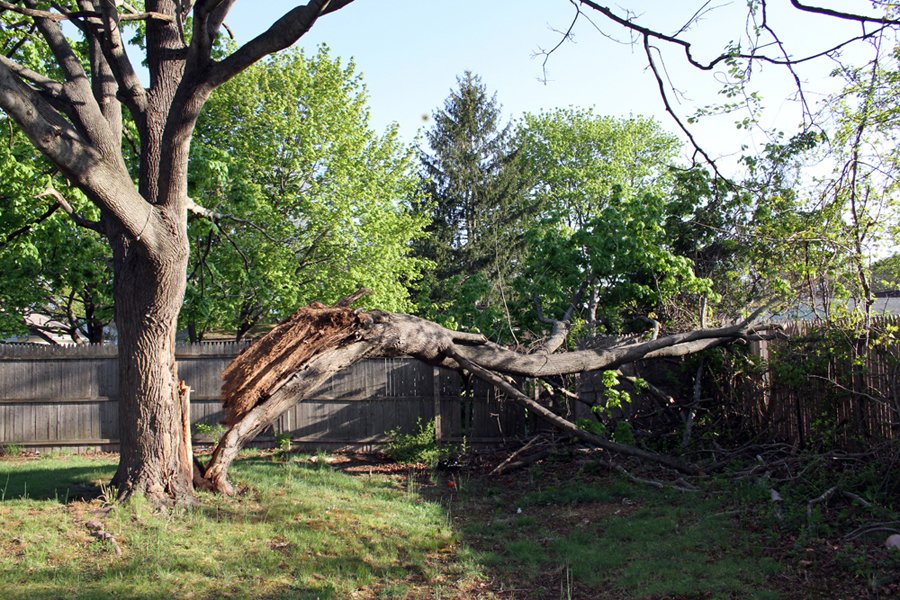 Gallery Photos Branching Out Tree Service | Before/After | Equipment